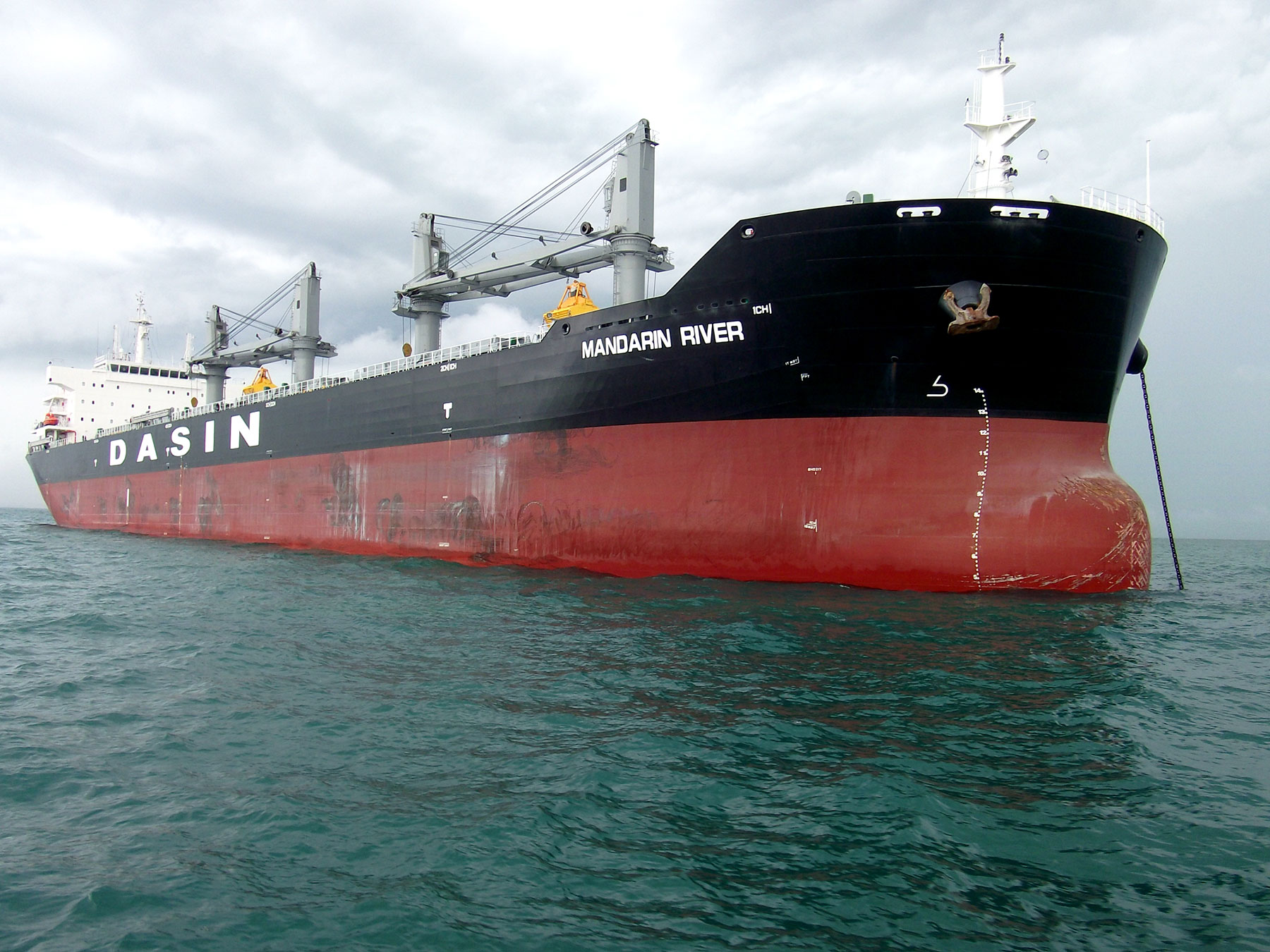 Fleet - Dasin Marine Pte Ltd | 大新船务有限公司